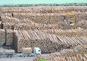 Venturer Timberwork - Global Timber Contractor